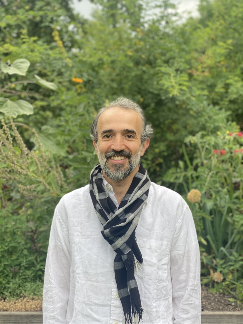 Ayat Najafi